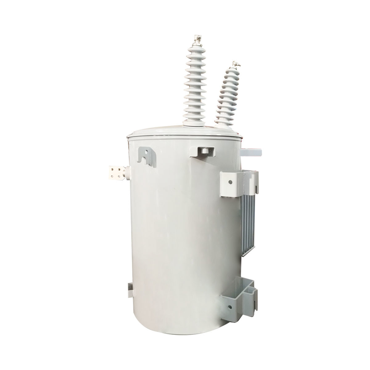 Single Phase 100KVA Pole Mounted Transformer Distribution 13.8Kv